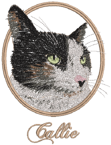 File Management | Better Wilcom Docs Site